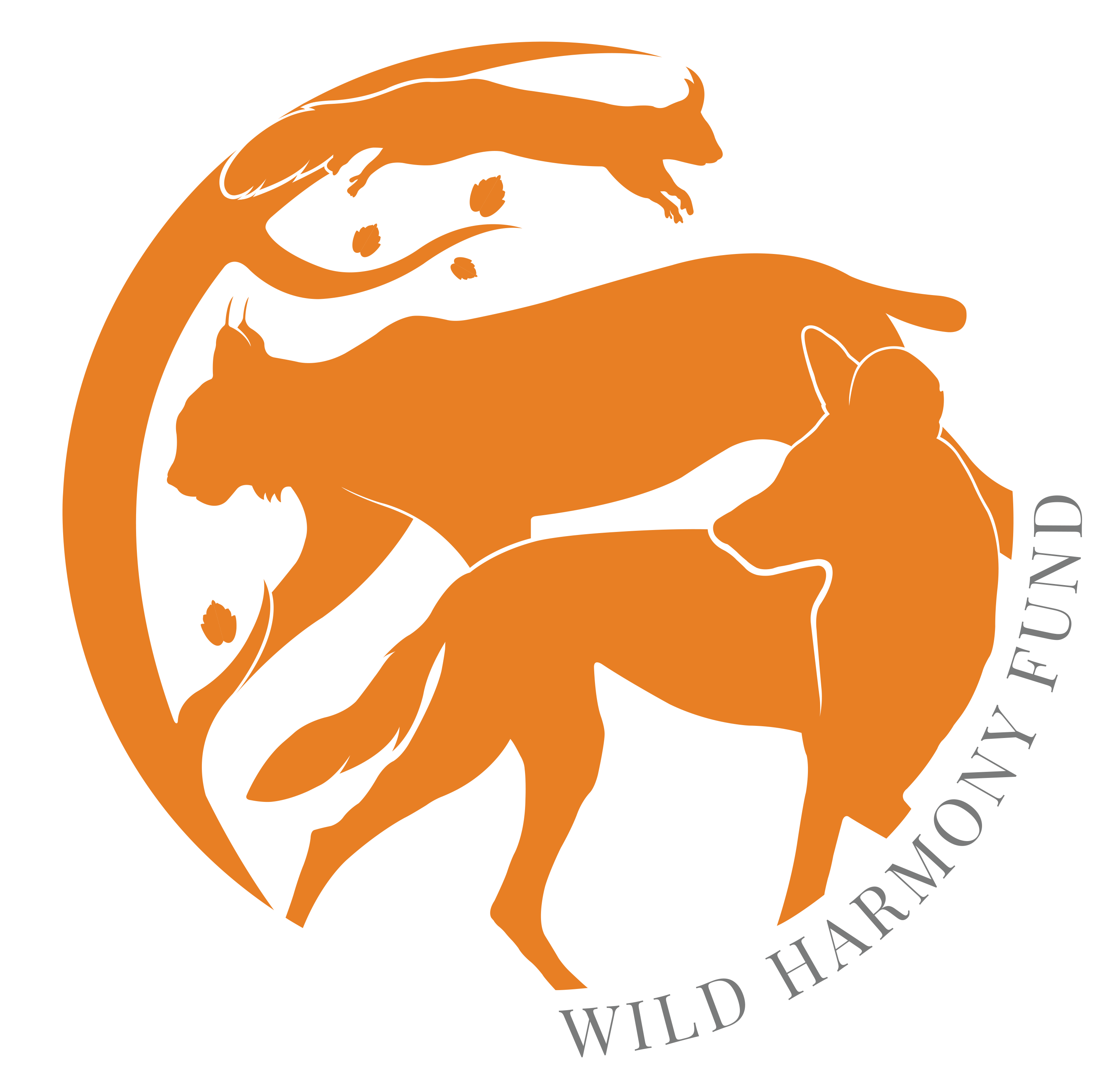 Wild Harmony Fund | Wild Harmony Fund